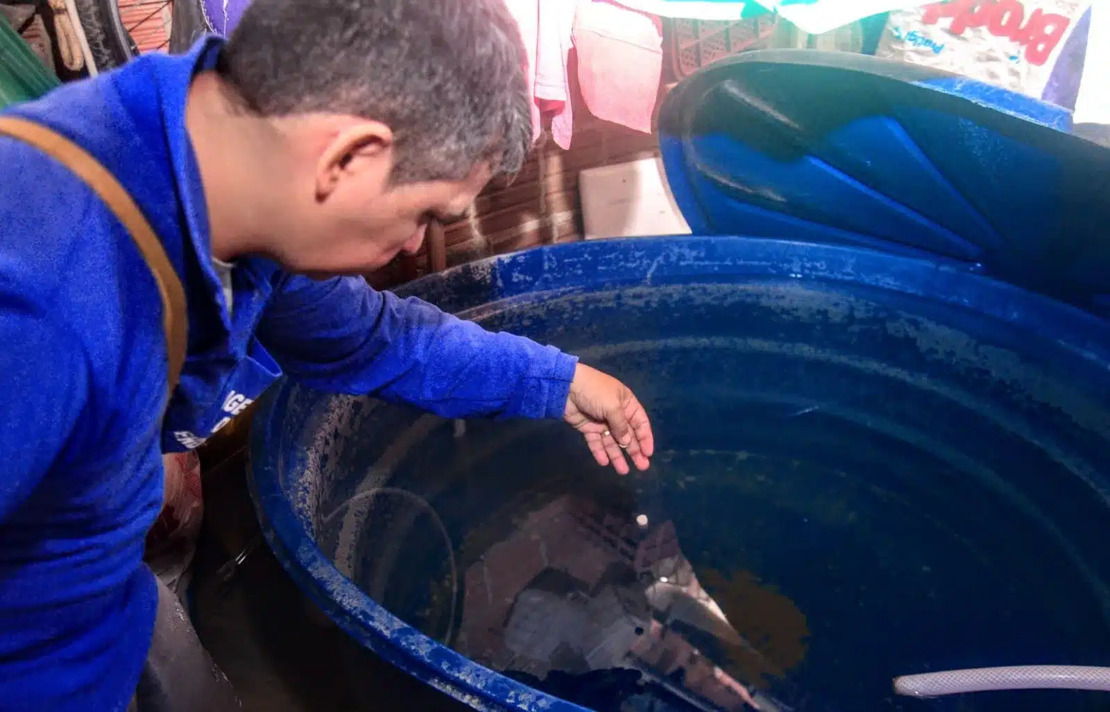 LIRAa 2024 revela alta infestação do Aedes aegypti em Mossoró
