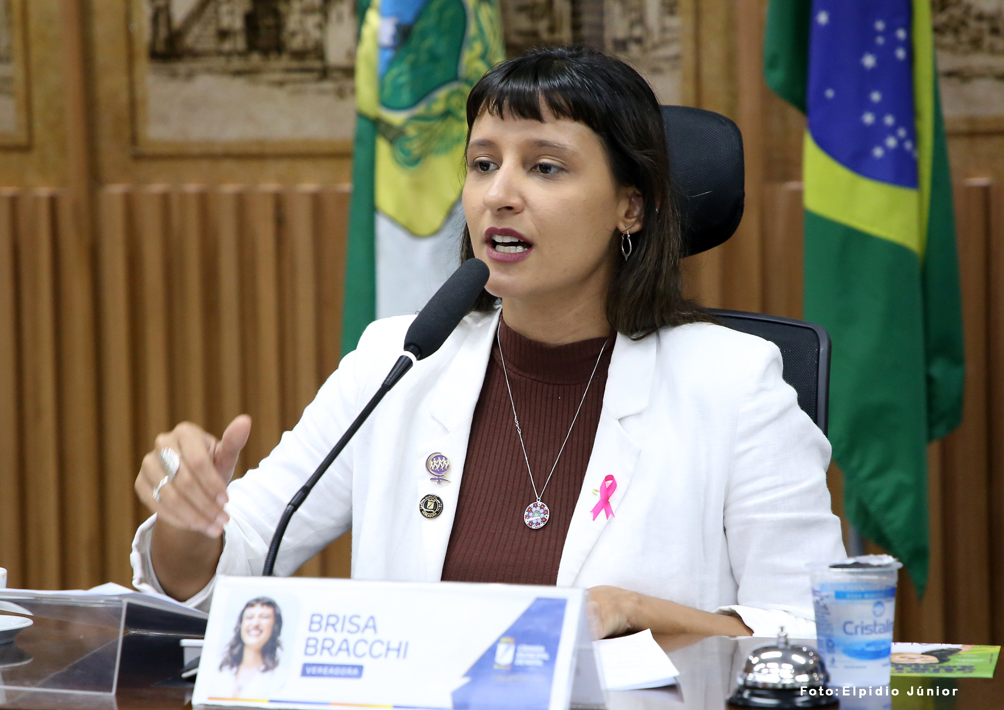 Relatório final sobre cassação de Brisa deve estar pronto nos próximos ...